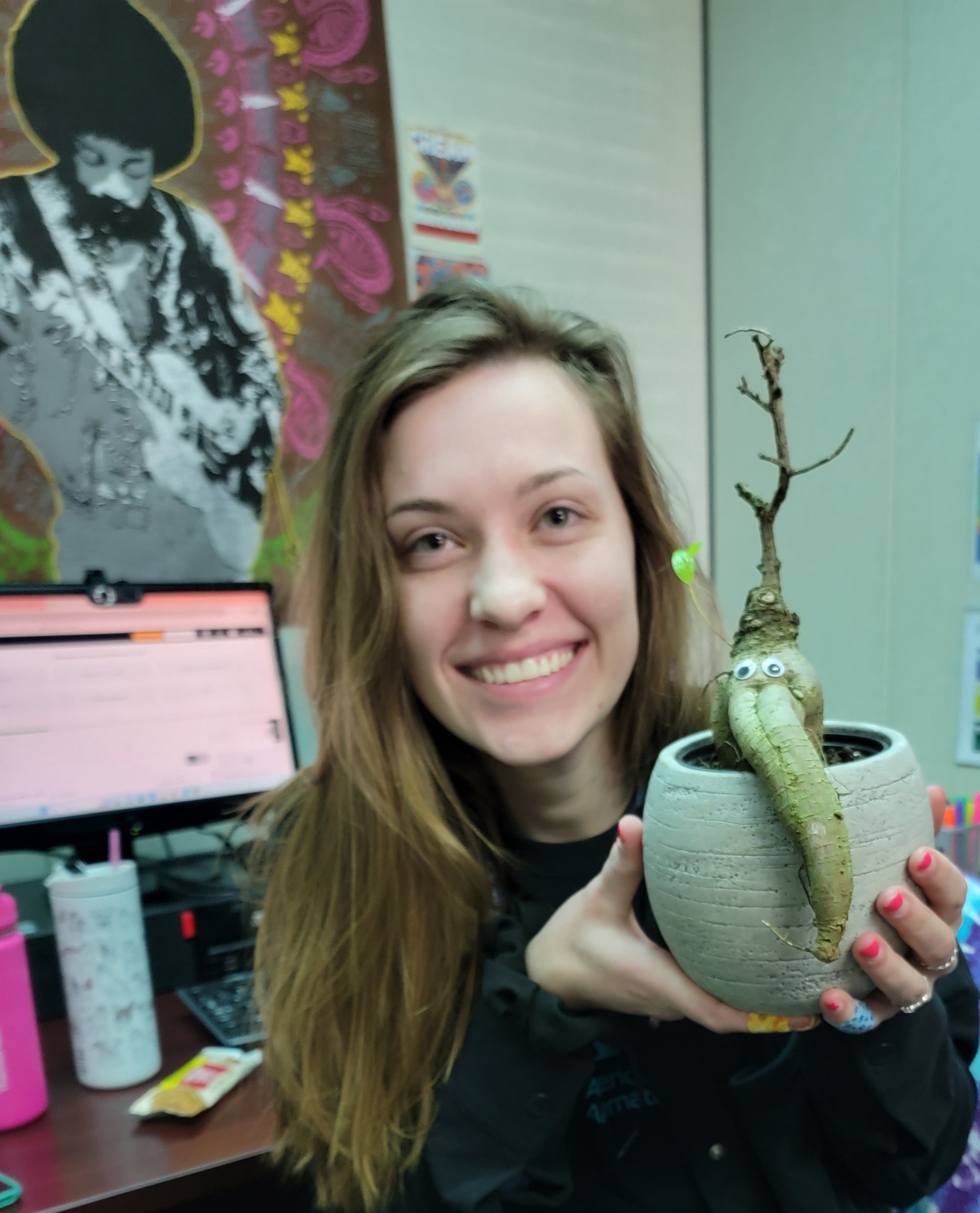 American Institute of Alternative Medicine | Acupuncture, Massage ...