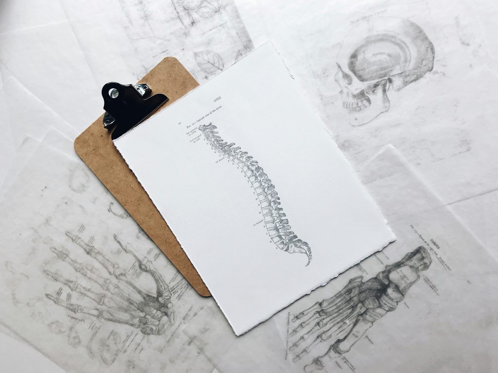 The Importance of Good Posture and Its Benefits - American Institute of ...